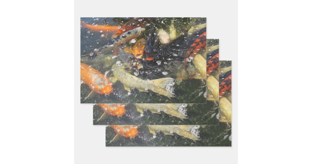 Japanese Carp Koi Fish Swimming Wrapping Paper Sheets | Zazzle