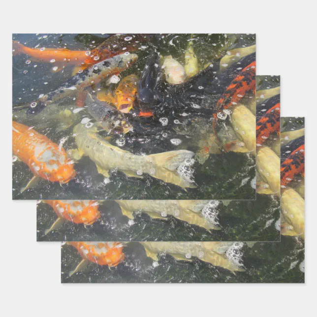Japanese Carp Koi Fish Swimming Wrapping Paper Sheets | Zazzle