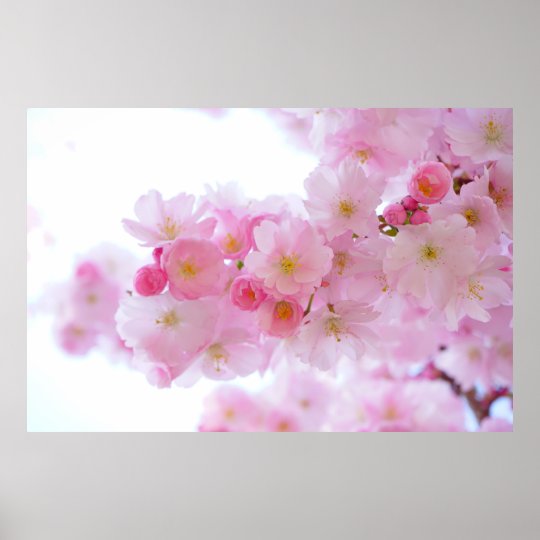 Japanese Cherry Blossom Poster | Zazzle.com