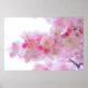 Japanese Cherry Blossom Poster | Zazzle