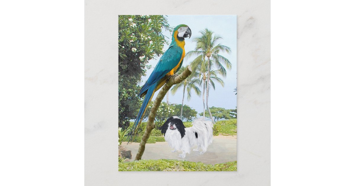 Japanese Chin and Macaw Postcard | Zazzle