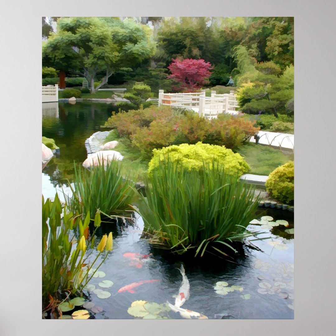 Japanese Garden Pond with Koi Poster | Zazzle