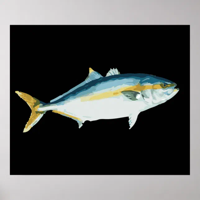 Japanese Hamachi Yellowtail Amberjack Poster | Zazzle