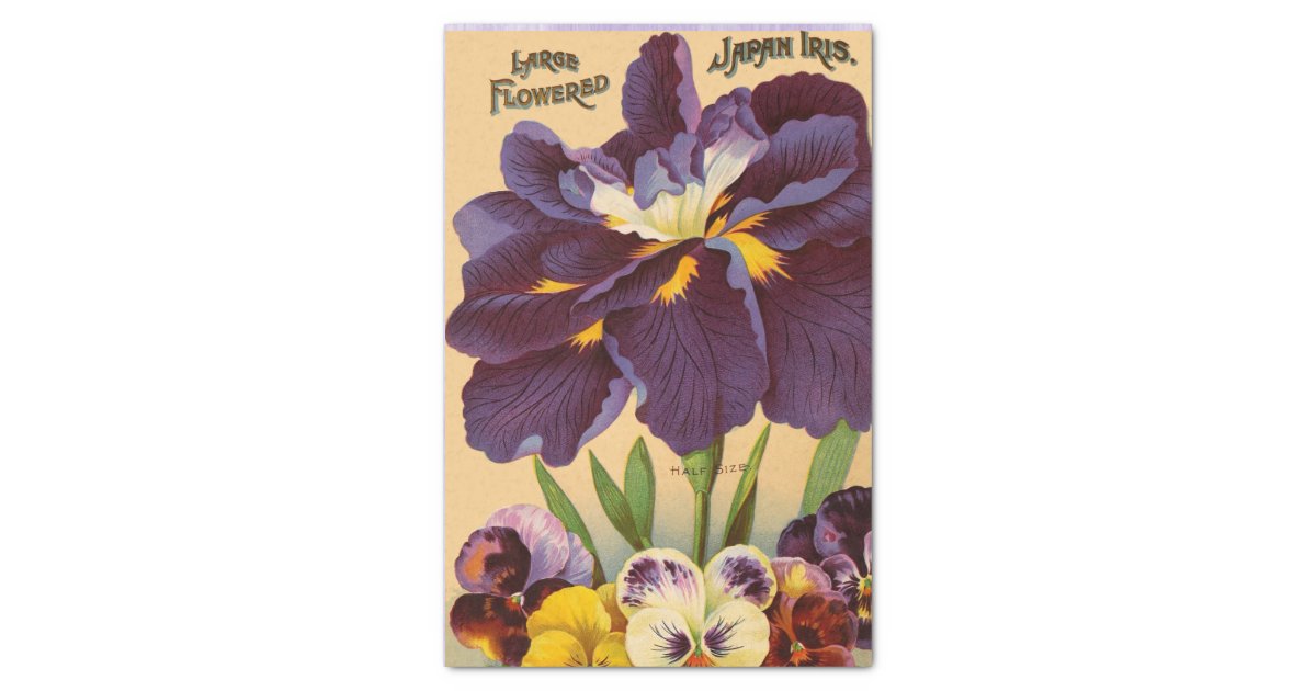 Japanese Iris and Pansies Vintage Tissue Paper | Zazzle