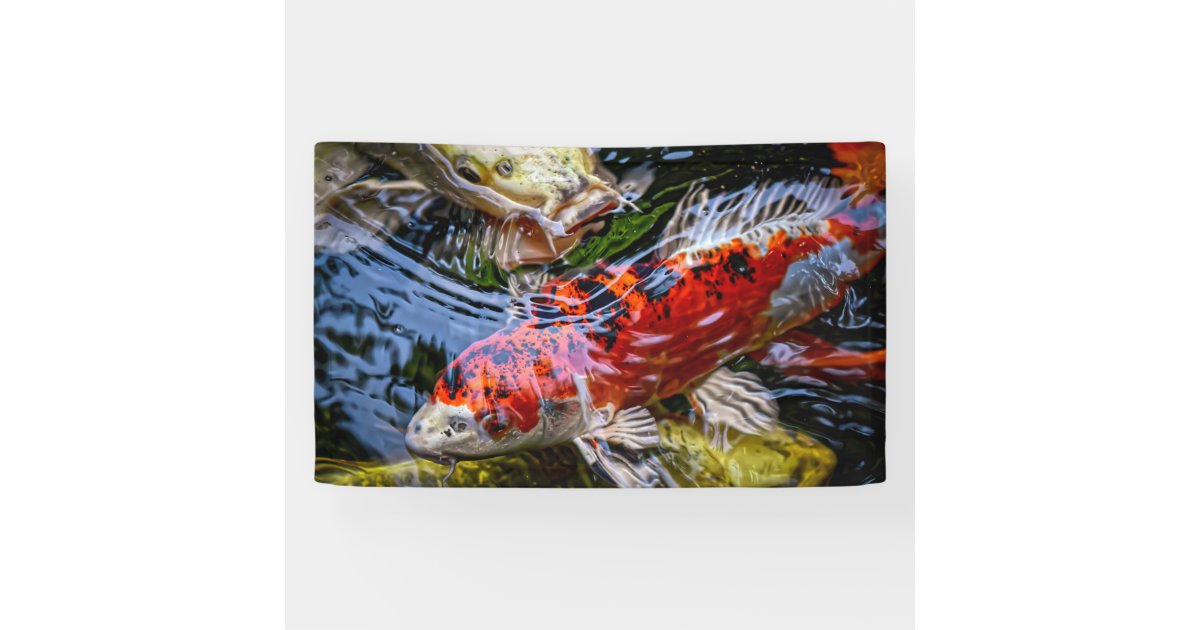 Japanese Koi Fish Pond Banner | Zazzle