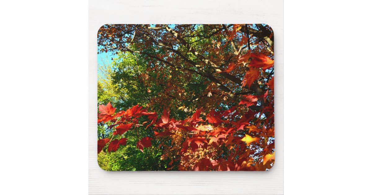 Japanese Maple in Autumn Mouse Pad | Zazzle