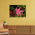 Japanese Maple Leaf Poster | Zazzle
