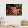 Japanese Maple Leaf Poster | Zazzle