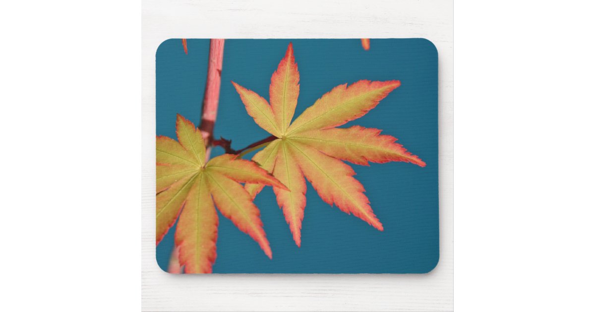 Japanese Maple Leaf Sango Kaku Mousepad | Zazzle