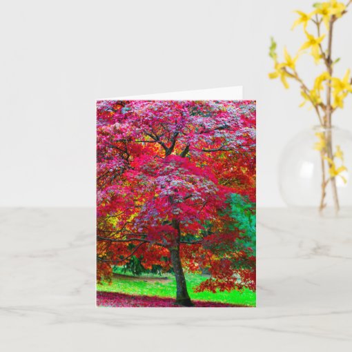 Japanese maple tree Greeting card | Zazzle