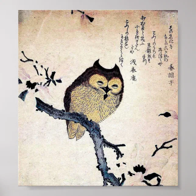 Japanese Owl Print Poster | Zazzle