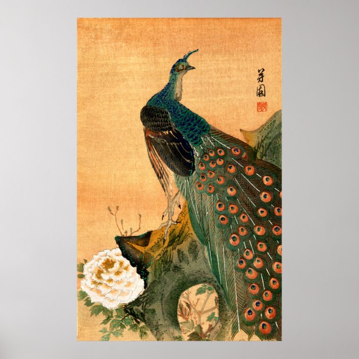 Japanese Peacock no.2 Poster | Zazzle.com