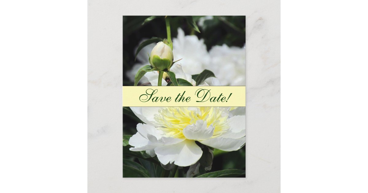 Japanese Peonies Save the Date Announcement Postcard | Zazzle