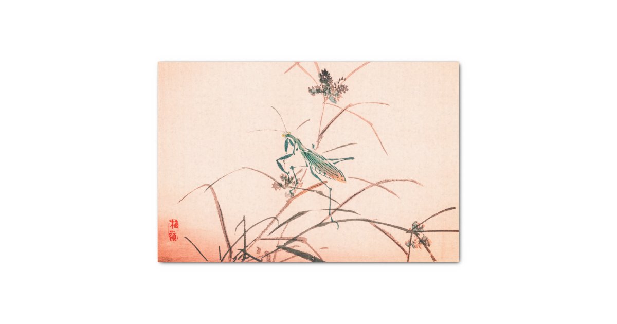 JAPANESE PRAYING MANTIS PINK Tissue Paper | Zazzle