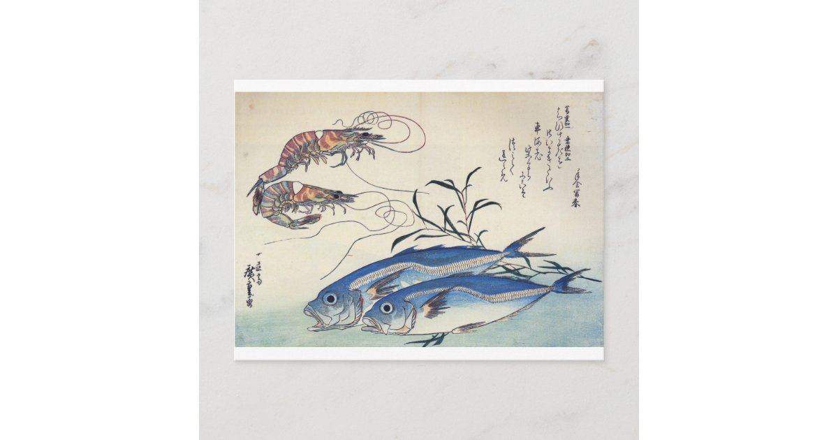 Japanese Sea Life Painting circa 1800's Postcard | Zazzle