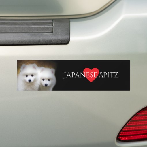 Japanese Spitz Breed Bumper Sticker | Zazzle