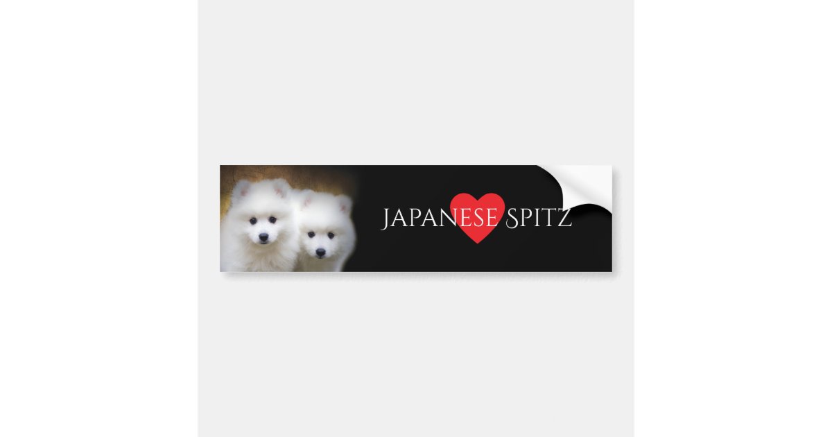 Japanese Spitz Breed Bumper Sticker | Zazzle