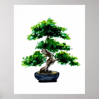Japanese Watercolor Bonsai Tree Poster | Zazzle