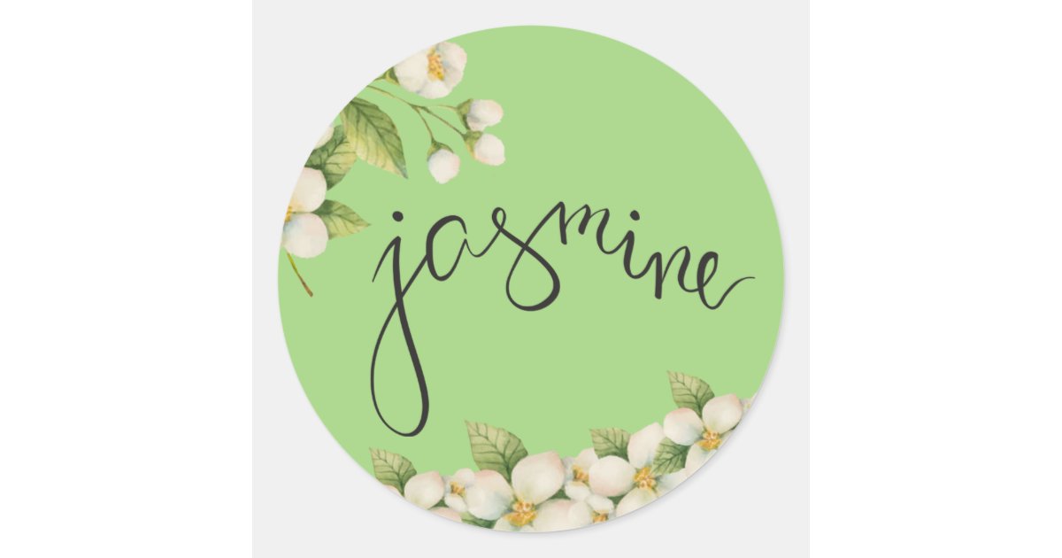 Jasmine blossom classic round sticker | Zazzle
