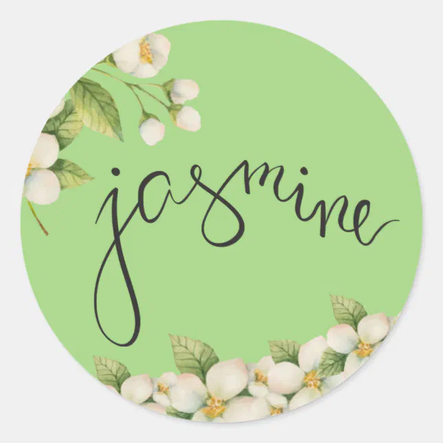 Jasmine blossom classic round sticker | Zazzle
