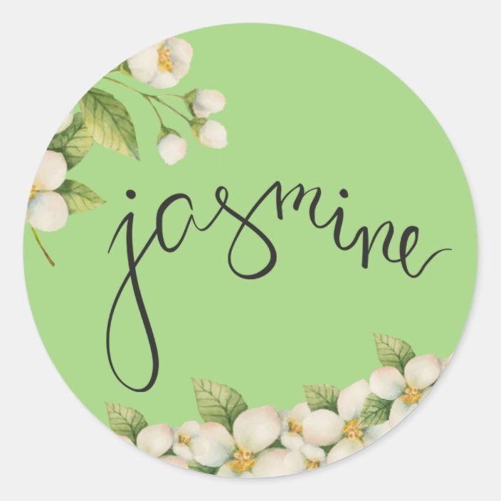 Jasmine blossom classic round sticker | Zazzle.com