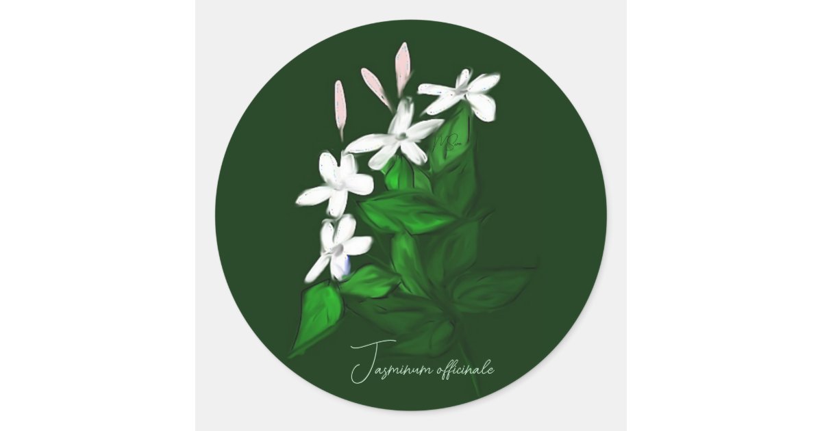 Jasmine Classic Round Sticker | Zazzle