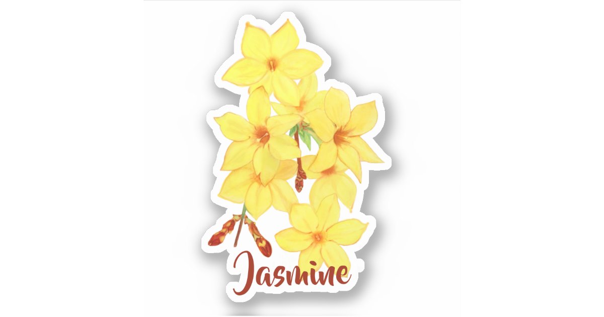 Jasmine Flower Custom Vinyl Stickers | Zazzle