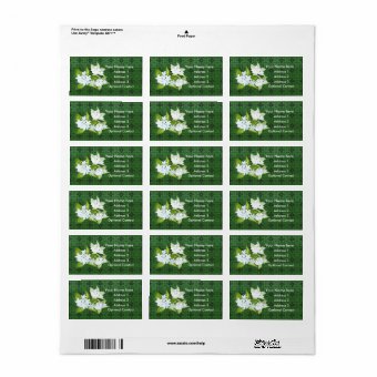 Jasmine Flowers Customizable Label | Zazzle
