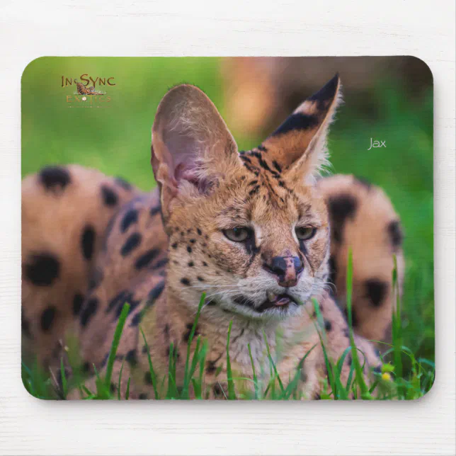 Jax Mouse Pad | Zazzle