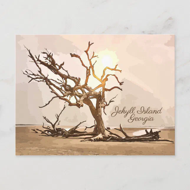 Jekyll Island Georgia Postcard | Zazzle