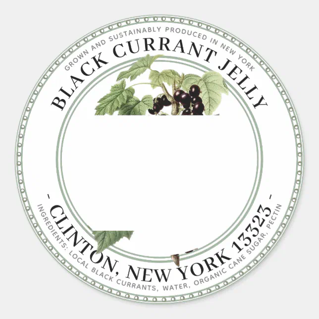 Jelly Label with Native Black Currant Illustration | Zazzle