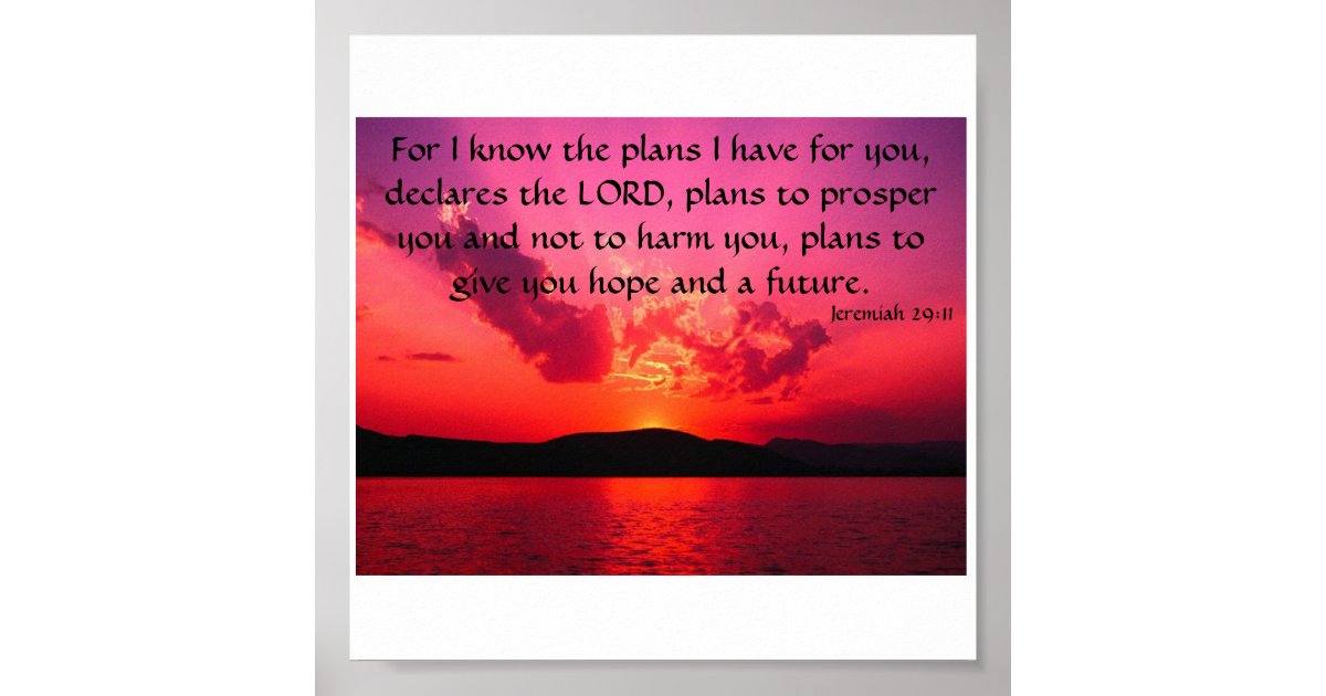 Jeremiah 29:11 poster | Zazzle