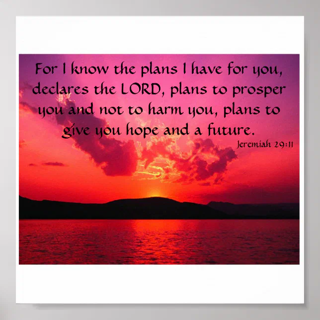 Jeremiah 29:11 poster | Zazzle
