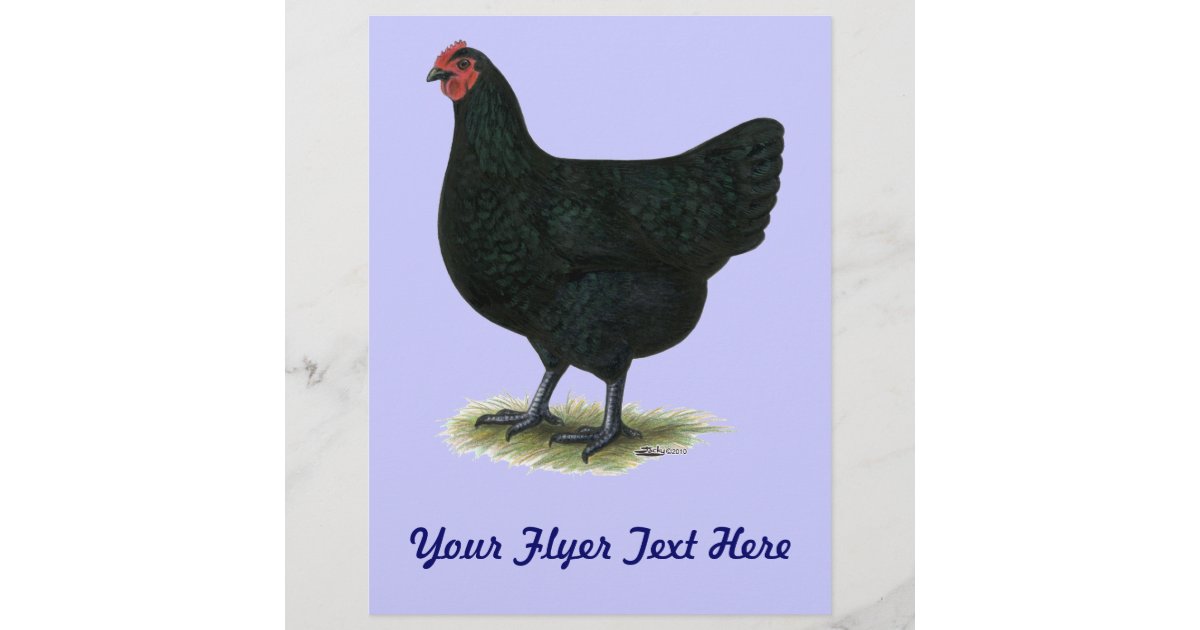 Jersey Giant: Black Hen Flyer | Zazzle