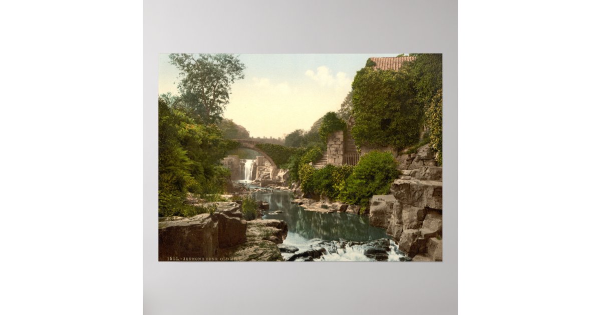 Jesmond Dene II, Newcastle-upon-Tyne, England Poster | Zazzle