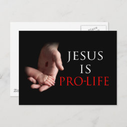 Jesus Is Pro-Life Postcard | Zazzle