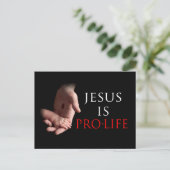 Jesus Is Pro-Life Postcard | Zazzle