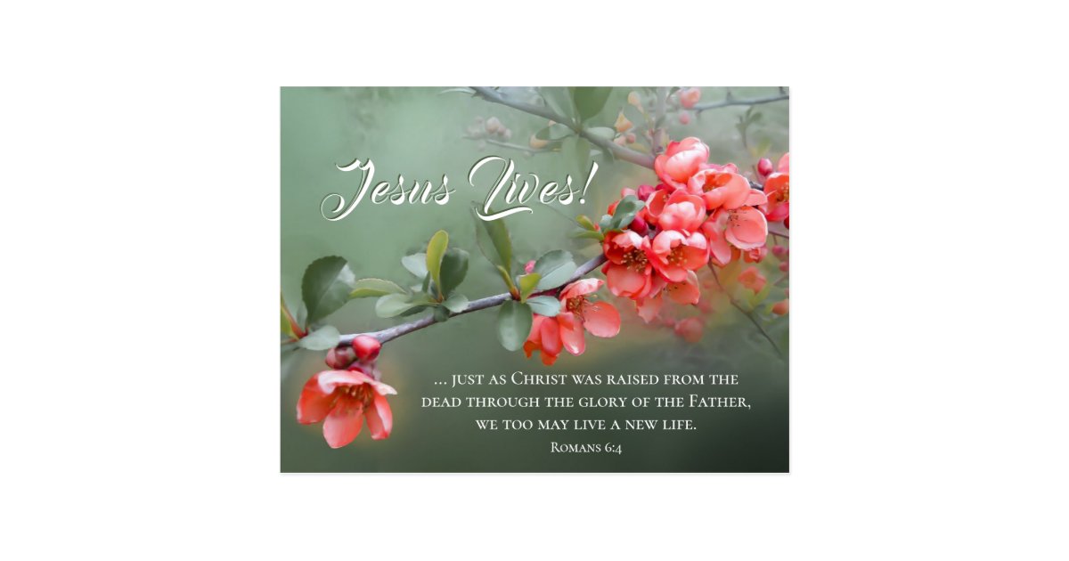 Jesus Lives Spring Flowers Bible Verse Easter Postcard | Zazzle.com