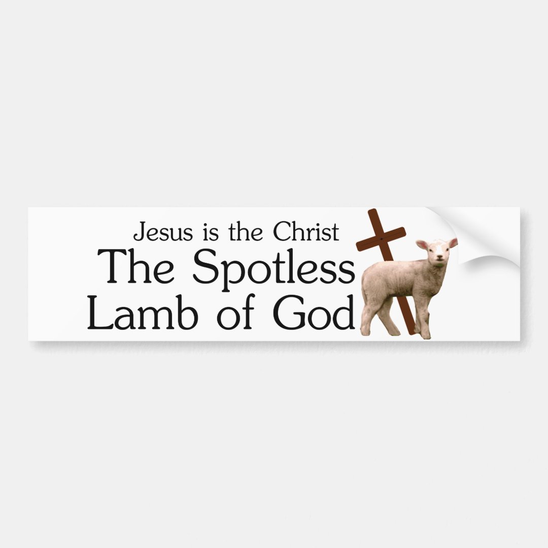 Jesus the Christ, spotless lamb of God Bumper Sticker | Zazzle
