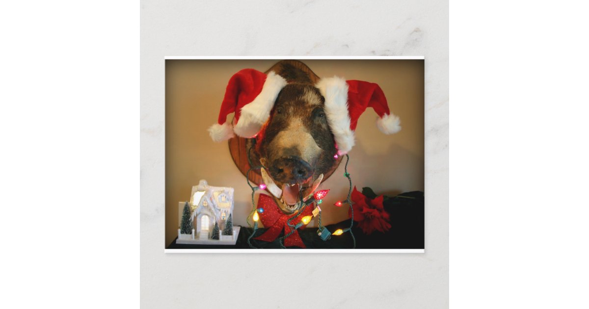 JG christmas card | Zazzle
