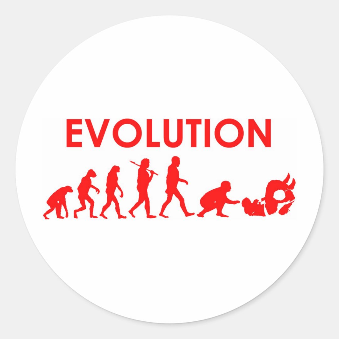 Jiu Jitsu Evolution Classic Round Sticker | Zazzle