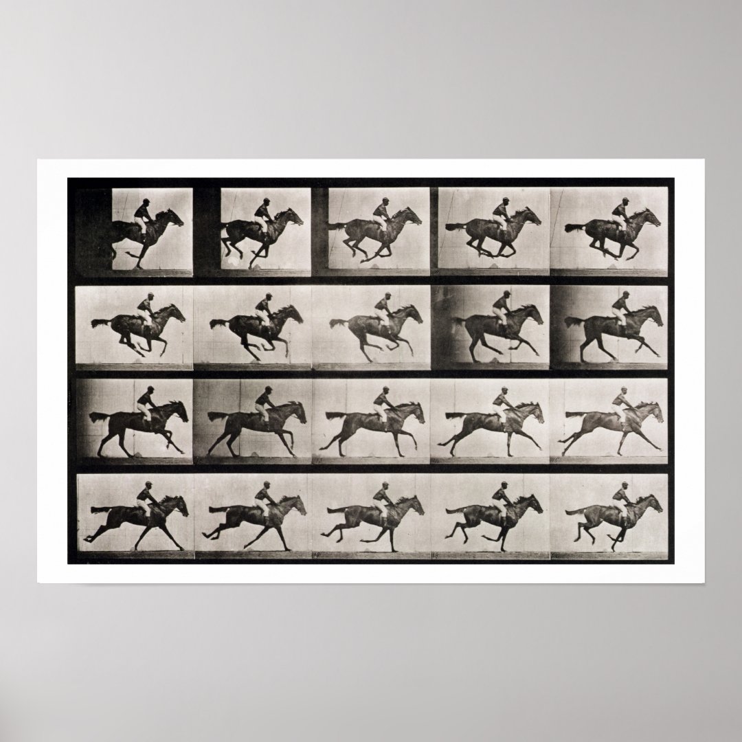 Jockey on a galloping horse, plate 627 from 'Anima Poster | Zazzle