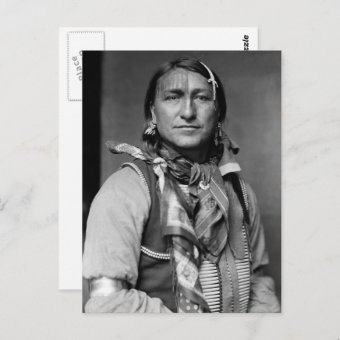 Joe Black Fox, 1900 Postcard | Zazzle