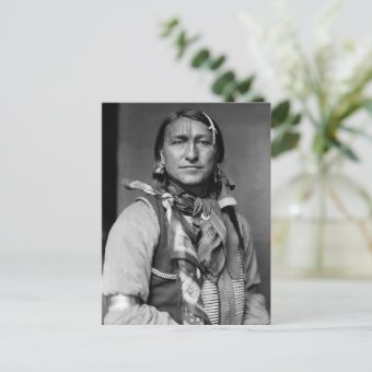 Joe Black Fox, 1900 Postcard | Zazzle