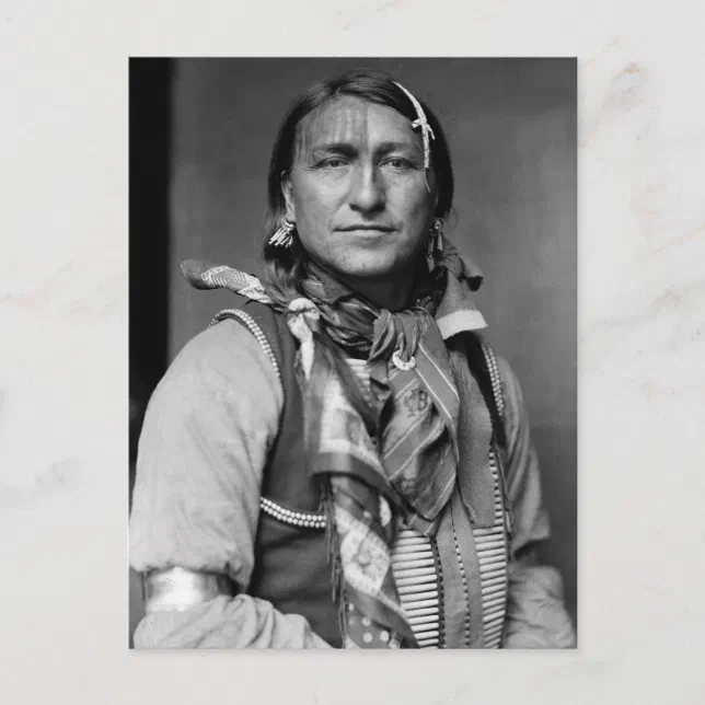 Joe Black Fox, 1900 Postcard | Zazzle