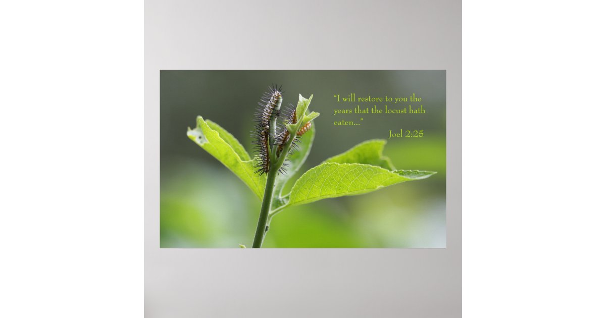 Joel 2:25 Scripture Poster (Version C) | Zazzle