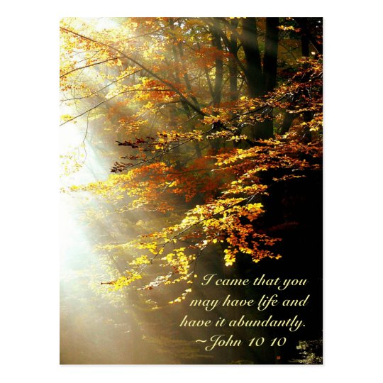 John 10 10 I came that you have life abundantly Postcard | Zazzle.com