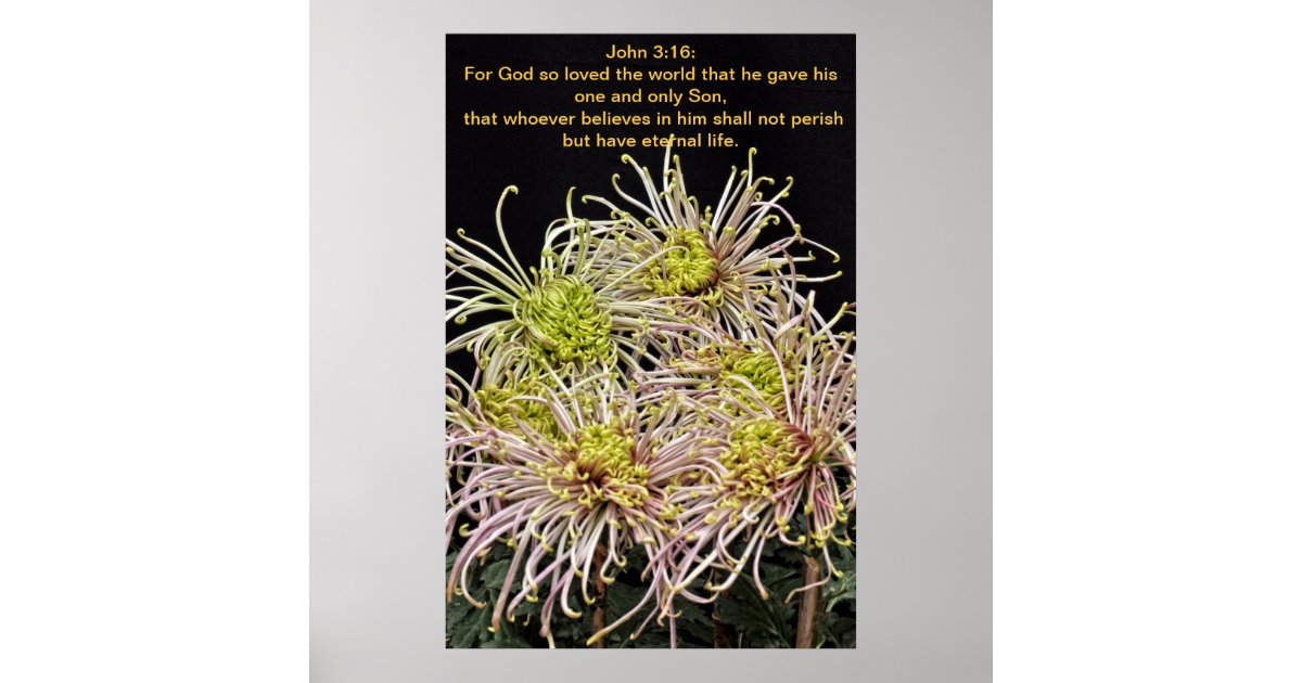 John 3:16 For God so loved the world Poster | Zazzle