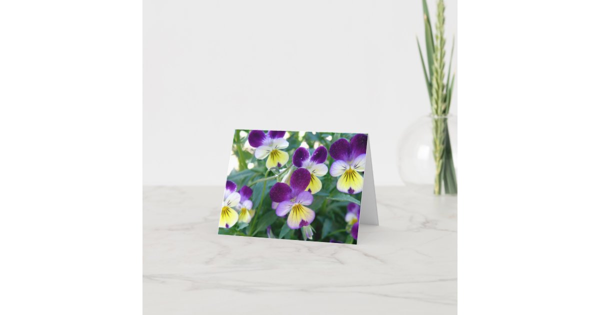 Johnny Jump-Ups Note Card | Zazzle