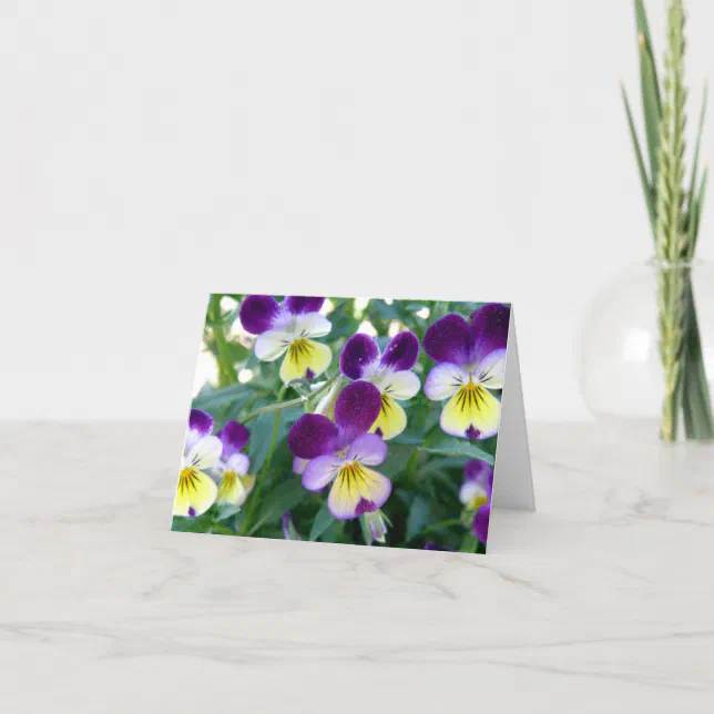 Johnny Jump-Ups Note Card | Zazzle